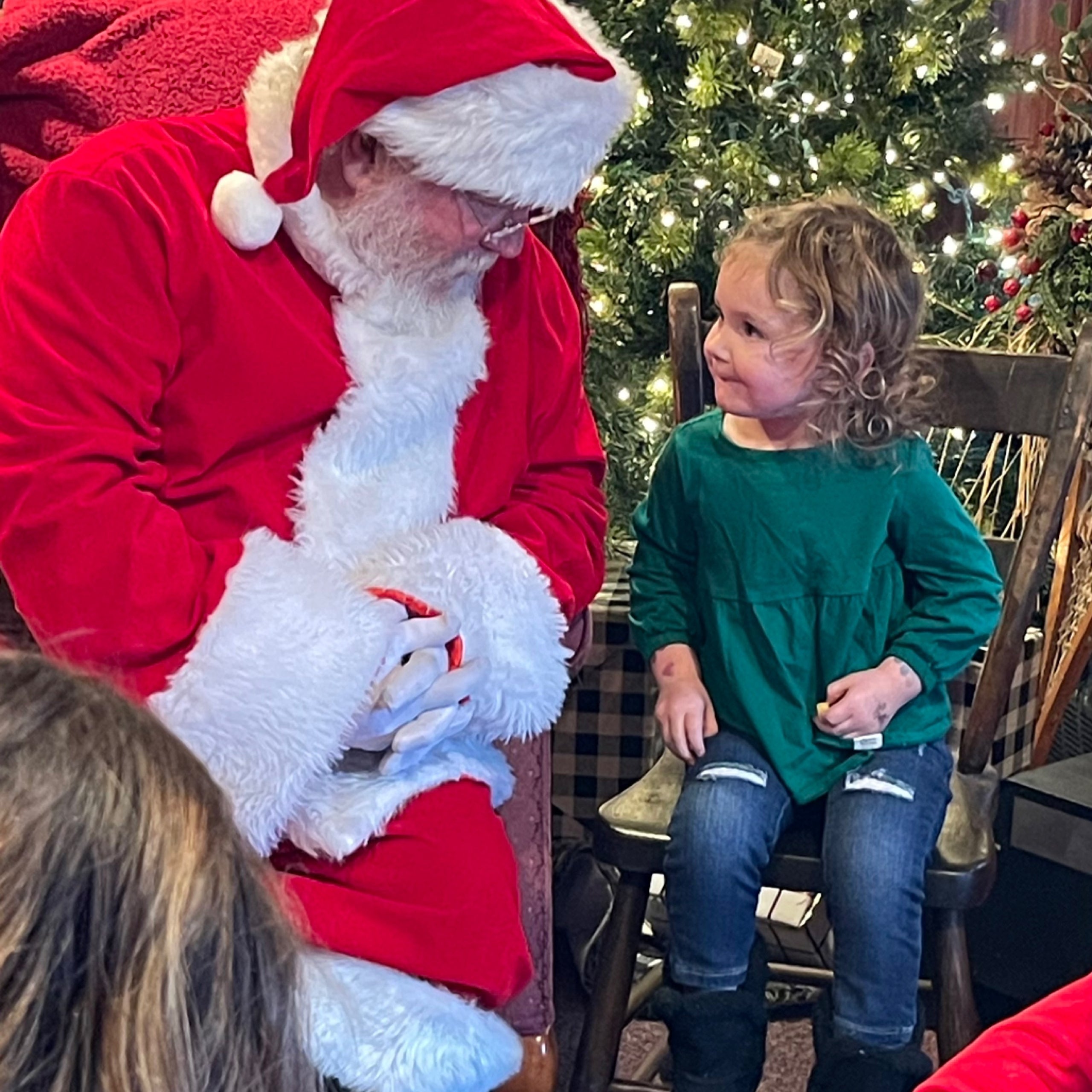 Northern Express Sun Dec 15 2024 | The Design Station LLC